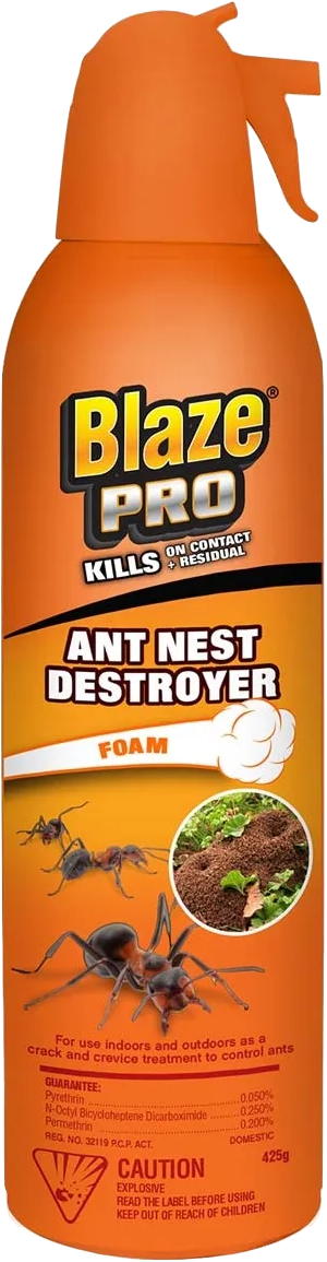 Blaze Pro Ant Nest Destroyer Foam 425g– Quecan Distribution