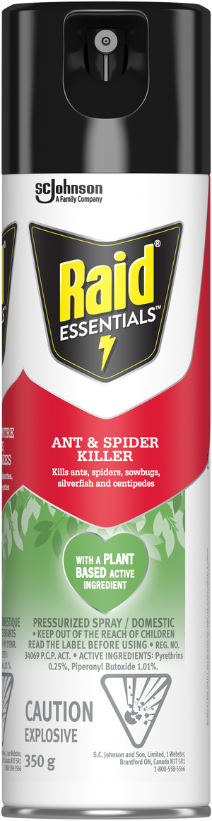 Raid Essentials Ant & Spider Killer Bug Killer Pressurized Spray (350g ...